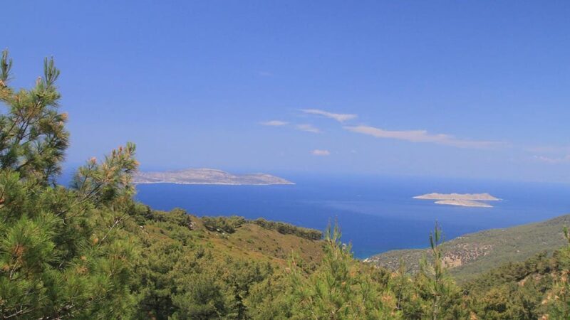Rhodes: Self Drive 4x4 safari - Pick ups South - An In-Depth Look at the Rhodes Self Drive 4x4 Safari