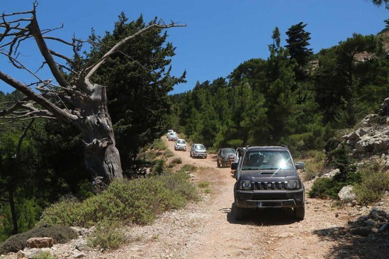 Rhodes: Self-Drive 4x4 Safari Tour with North Pickup - Practical Details and Considerations