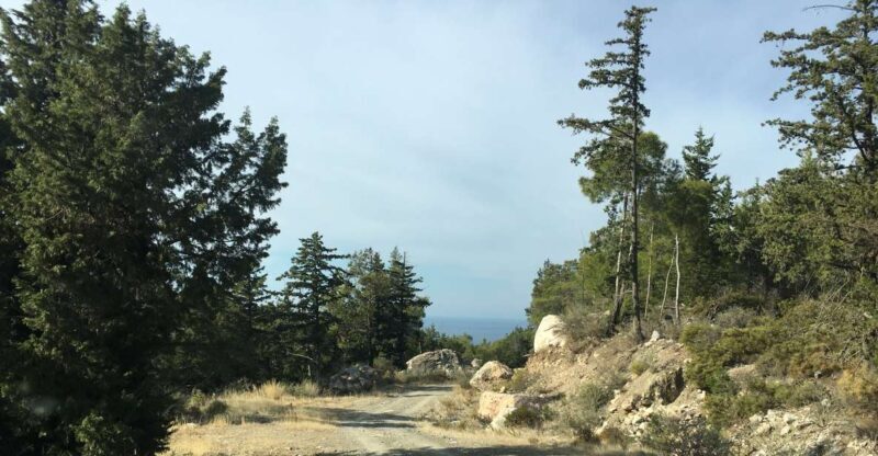 Rhodes South Safari: Mountains & Local Flavors - FAQ