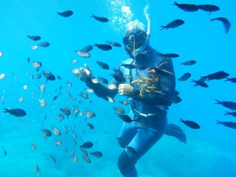 Rhodes Town: Yellow Submarine Cruise with Underwater Views - Key Points