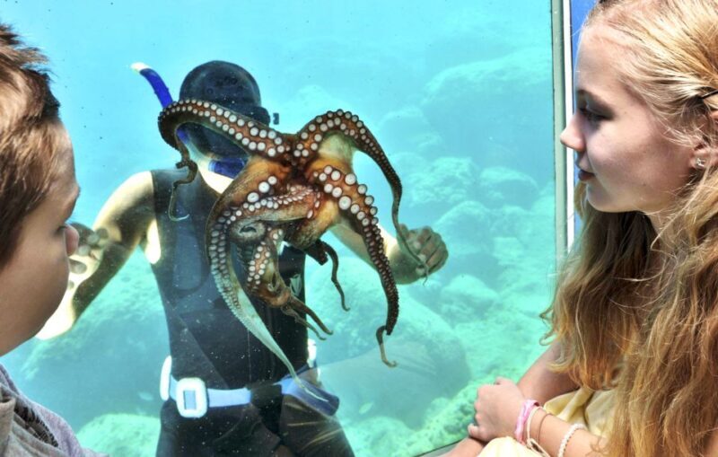 Rhodes Town: Yellow Submarine Cruise with Underwater Views - An in-depth look at this Rhodes cruise experience