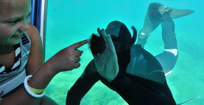 Rhodes Town: Yellow Submarine Cruise with Underwater Views - Final Thoughts