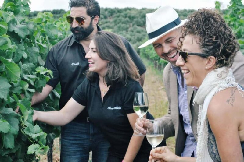 Rhodes: Wine Tasting in Embonas, the Land of Rhodian Wine - FAQ