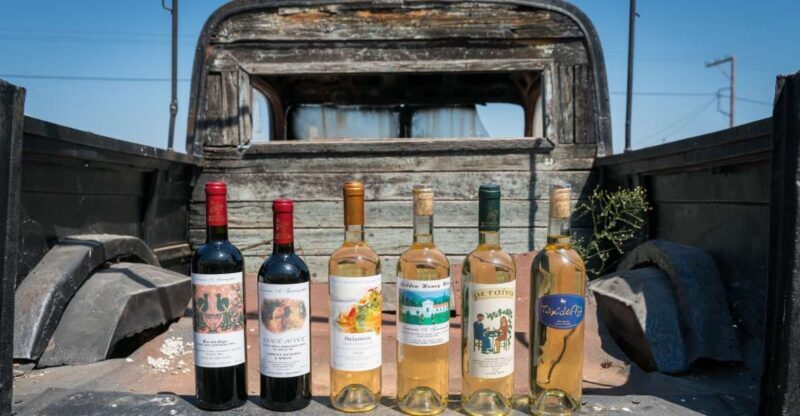 Rhodes: Winery Tour and Tasting Experience - Introduction to the Experience
