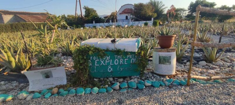 Rhodes:Explore the farm's paths & discover aloe vera & herbs - FAQ