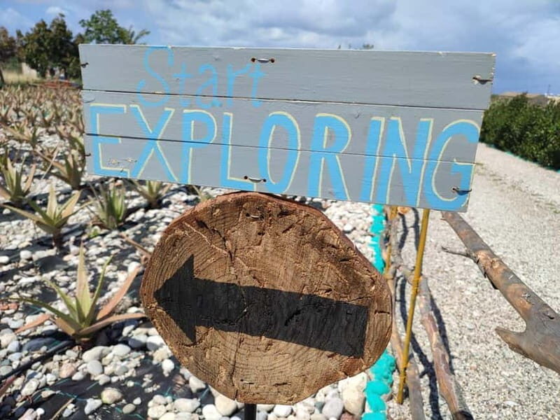 Rhodes:Explore the farm's paths & discover aloe vera & herbs - Key Points