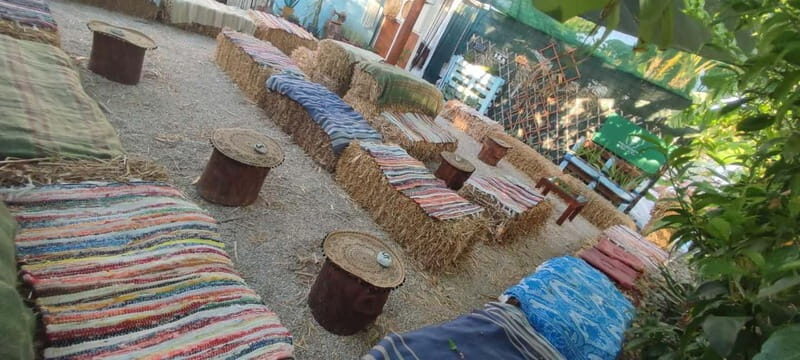 Rhodes:Explore the farm's paths & discover aloe vera & herbs - In-depth Look at the Experience: Pros and Cons