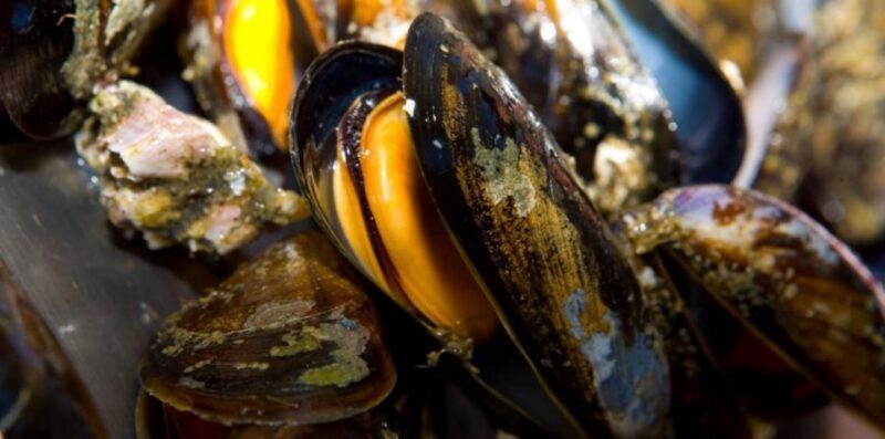 Ría de Arousa: Boat Ride to Mussel Farm with Tasting - Duration, Price, and Practical Details
