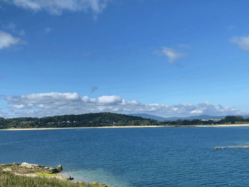Ría de Arousa: Daytime or Sunset Sailboat Cruise with drinks - The Itinerary: What to Expect