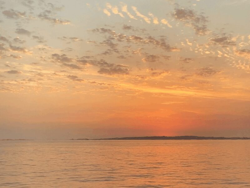 Ría de Arousa: Daytime or Sunset Sailboat Cruise with drinks - Drinks, Snacks, and Comfort