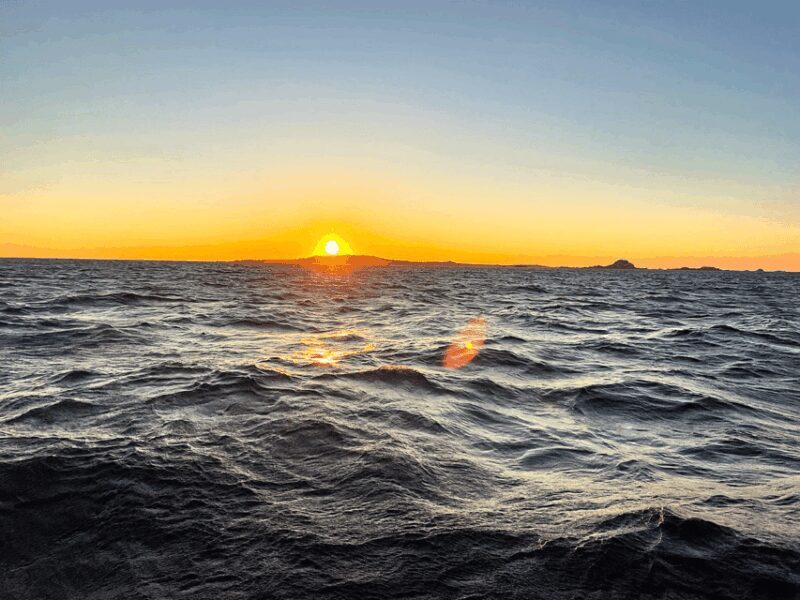 Ría de Arousa: Daytime or Sunset Sailboat Cruise with drinks - Final Thoughts