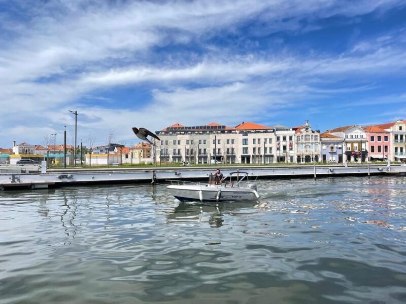 Ria de Aveiro Wakeboard Experience - Discovering the Ria de Aveiro Wakeboard Experience