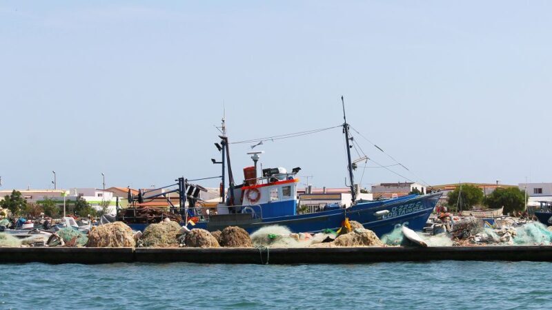 Ria Formosa: 2-Hour Fishermen Route Boat Tour - Value and Practicalities
