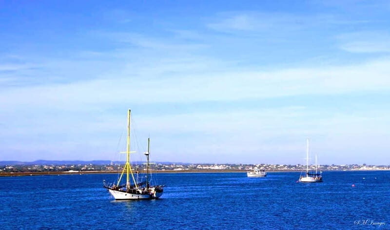 Ria Formosa 3 Islands Guided Day Trip by Boat - Olhão - FAQs