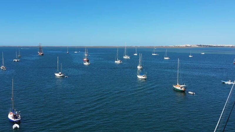 Ria Formosa: Armona and Culatra Islands 3-Hour Boat Tour - An Overview of What to Expect