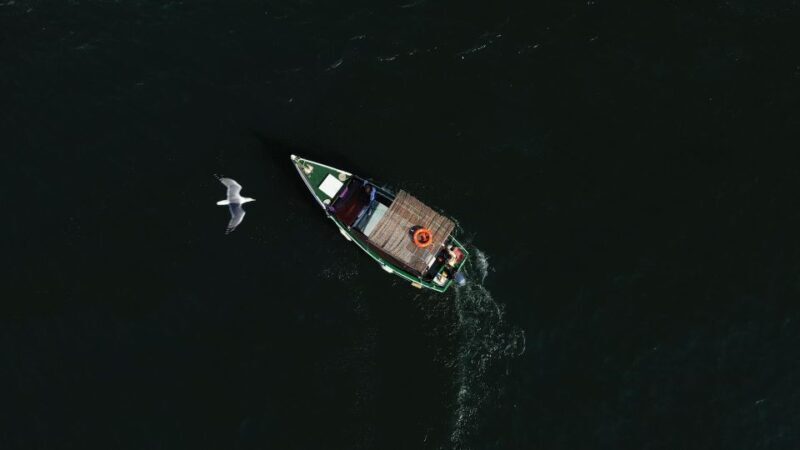 Ria Formosa: Armona and Culatra Islands 3-Hour Boat Tour - Who Should Consider This Tour?