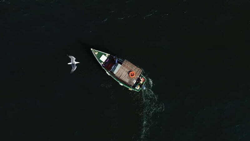 Ria Formosa: Armona and Culatra Islands 3-Hour Boat Tour - FAQ