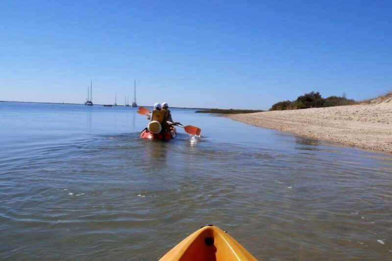 Ria Formosa National Park: Kayak Trip - Who Will Love This Experience?
