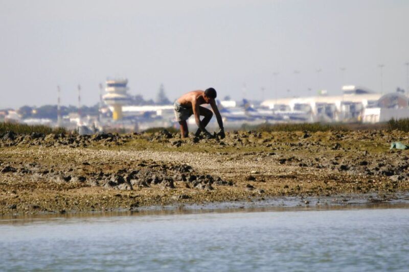 Ria Formosa National Park: Kayak Trip - Final Thoughts: Who Will Find This Tour Most Valuable?