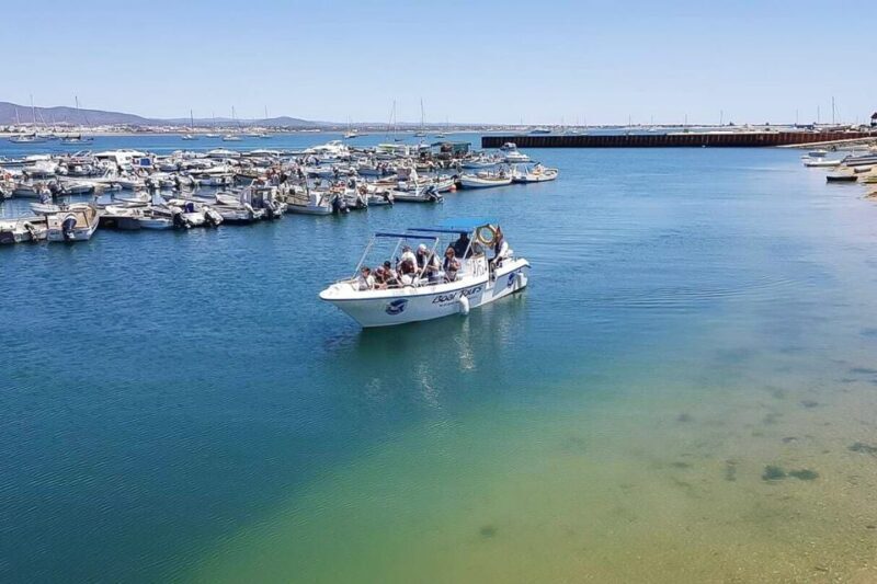 Ria Formosa: Sightseeing boat Tour from Olhão - A Detailed Look at the Experience