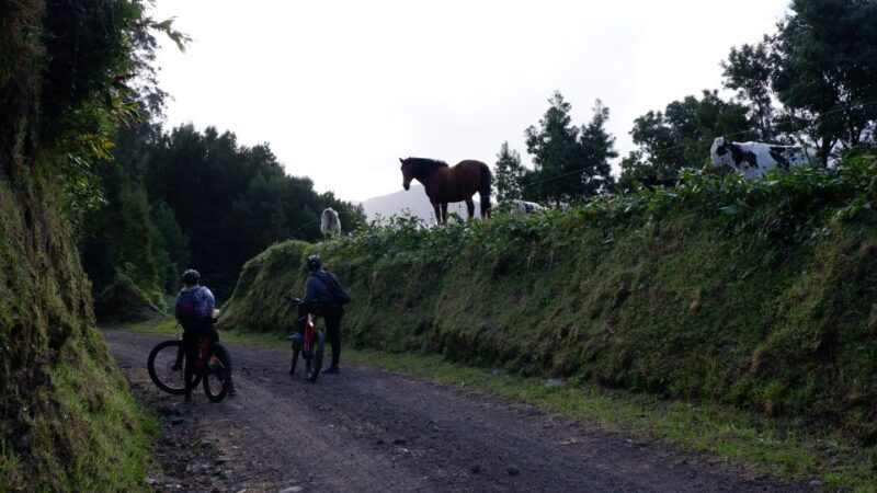Ribeira Grande: Guided E-Bike Tour - What We Think of the Ribeira Grande E-Bike Tour