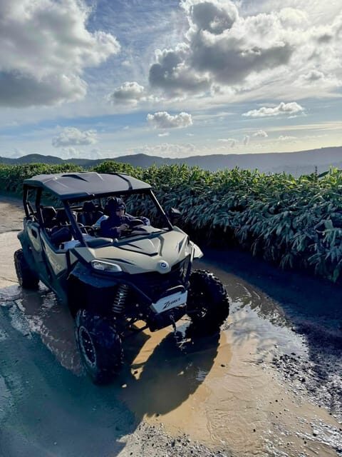 Ribeira Grande: Sete Cidades Buggy tour - The Perfect Audience for This Tour