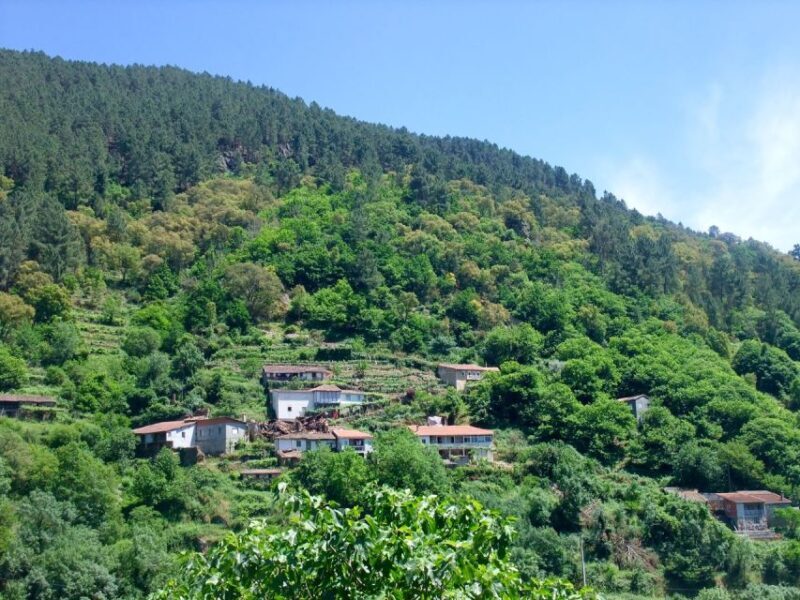 Ribeira Sacra & Ourense Day Tour with Catarmaran Cruise - The Sum Up: Is This Tour Right for You?