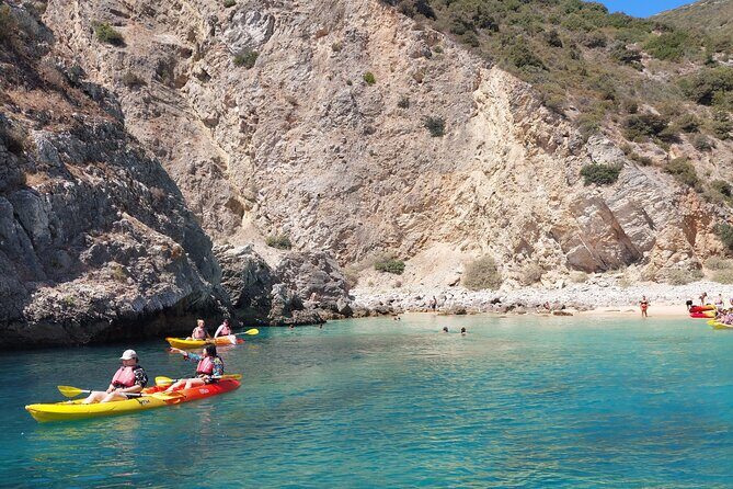 Ribeiro do Cavalo Beach Taxi Boat Transfer Round Trip - What to Expect: A Step-by-Step Overview