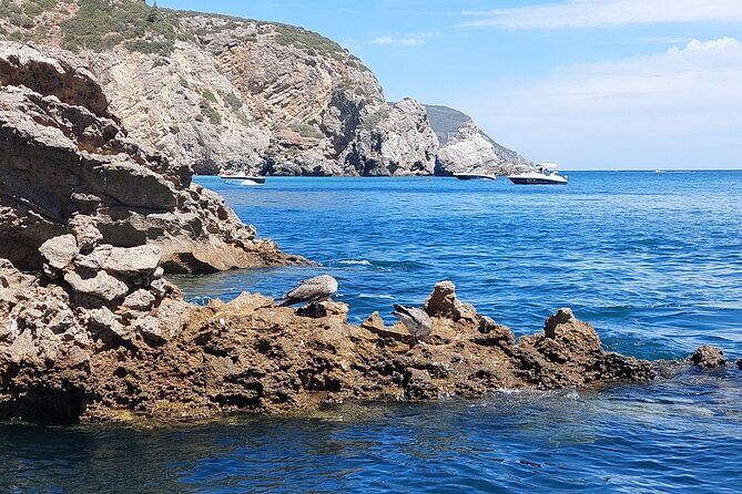 Ribeiro do Cavalo Beach Taxi Boat Transfer Round Trip - Final Thoughts: Who’s It Best For?