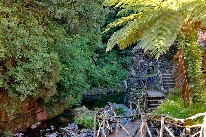 Ribeiro Frio - Portela - Ribeiro Frio - Portela: An Authentic Walk Through Madeira’s Enchanting Laurel Forest