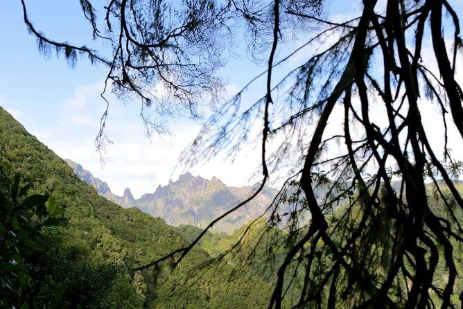 Ribeiro Frio - Portela - Key Points