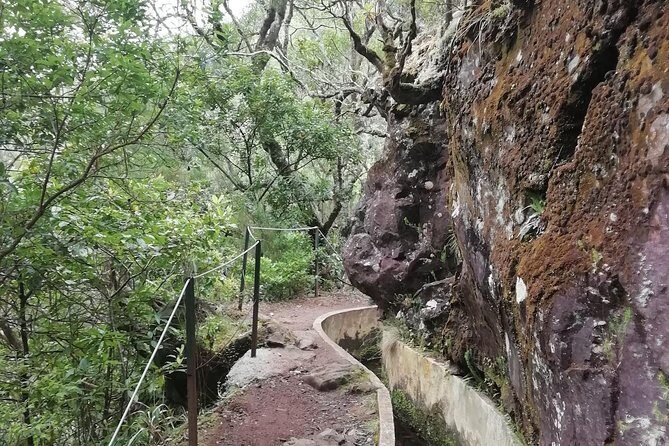 Ribeiro Frio - Portela - The Sum Up: A Gentle, Authentic Madeira Trek
