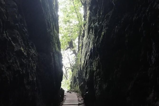Ribeiro Frio - Portela - FAQ