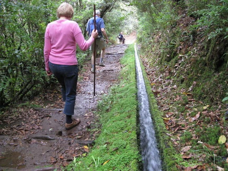 Ribeiro Frio / Portela Full day hike - Exploring the Ribeiro Frio / Portela Full Day Hike: An Authentic Madeira Adventure
