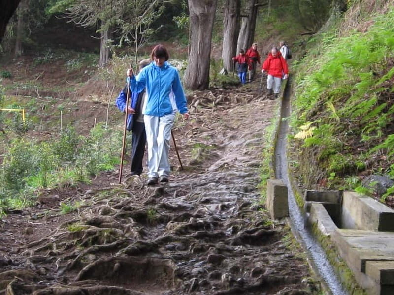 Ribeiro Frio / Portela Full day hike - The Sum Up