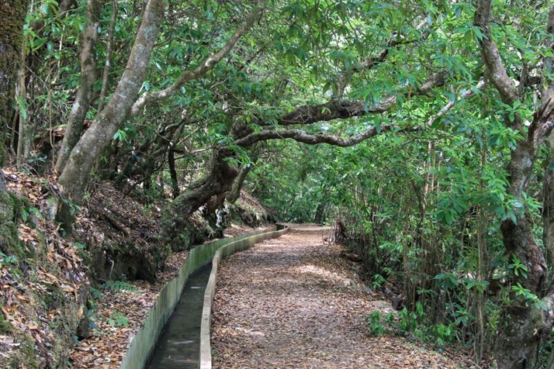 Ribeiro Frio - Portela - Levada do Furado - Who Should Consider This Tour