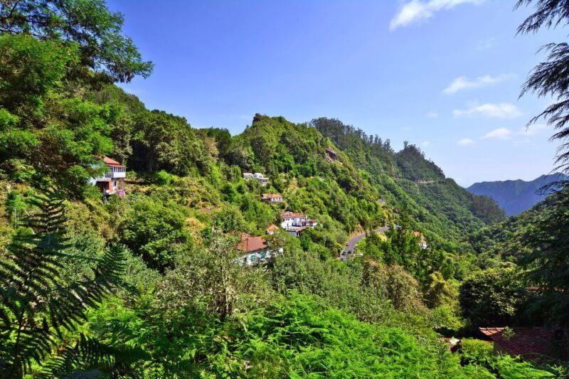 Ribeiro Frio / Portela - Levada Walk - What You Can Expect from This Levada Walk