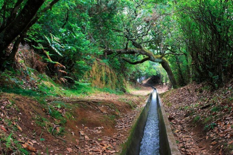 Ribeiro Frio / Portela - Levada Walk - Final Thoughts: Who Is This Tour Best For?