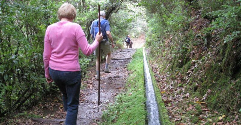 Ribeiro Frio / Portela - Levada Walk - Frequently Asked Questions