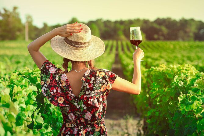 Ribera and Rioja Wineries Private Tour from Madrid - The Itinerary: What to Expect