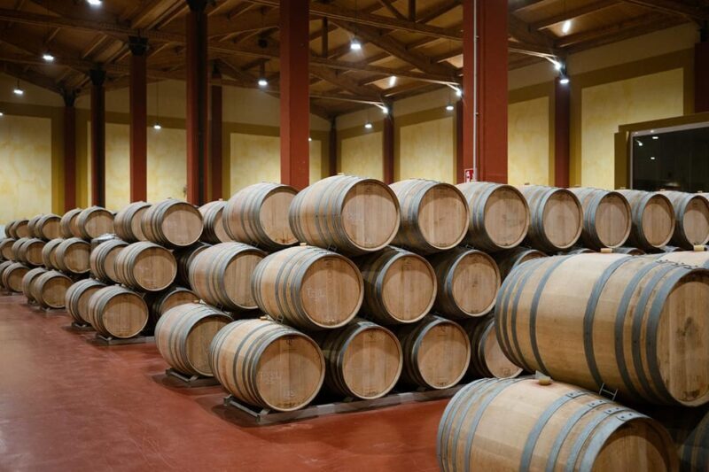 Ribera del Duero: Experience, vineyard and 4x4 mountain, aperitif and tasting. - An In-Depth Look at the Experience