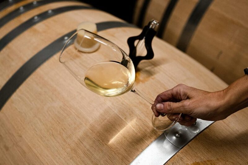 Ribera del Duero: Experience, vineyard and 4x4 mountain, aperitif and tasting. - Practical Tips for Travelers