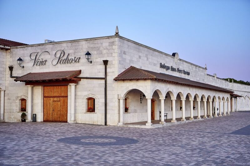 Ribera del Duero: Red Wine Discovery Tour with Tastings - Introduction