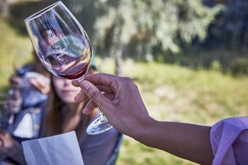 Ribera del Duero: Red Wine Discovery Tour with Tastings - Key Points
