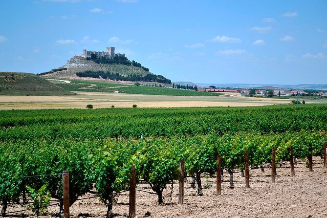 Ribera del Duero Small Group Tour: Tapas & Wine Tasting - Exploring the Ribera del Duero Small Group Tour: Tapas & Wine Tasting