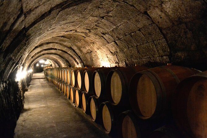 Ribera del Duero Small Group Tour: Tapas & Wine Tasting - Key Points