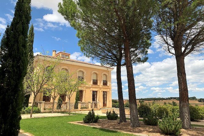 Ribera del Duero Small Group Tour: Tapas & Wine Tasting - Who Will Appreciate This Tour Most?