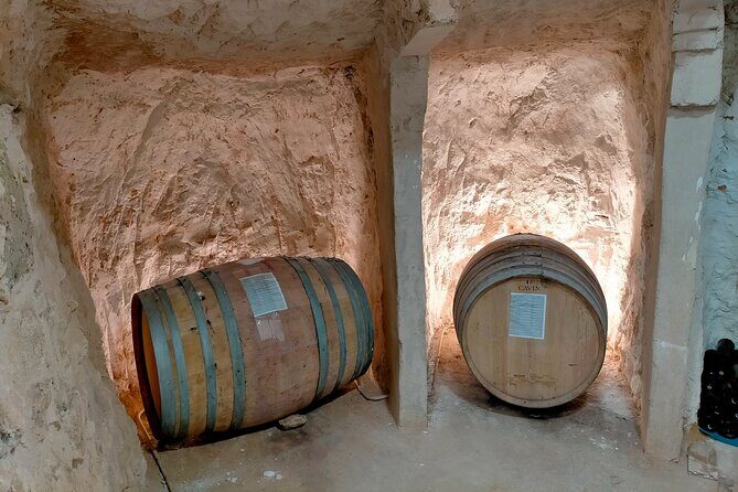Ribera del Duero Tour: Three Wineries & Lunch from Madrid - Who Should Consider This Tour?