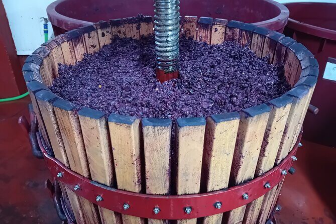 Ribera del Duero Tour: Three Wineries & Lunch from Madrid - FAQ