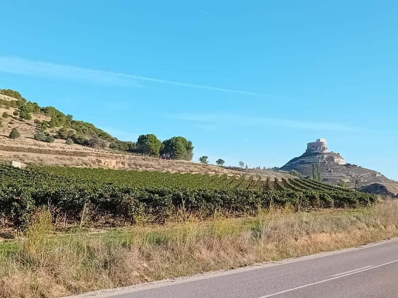 Ribera del Duero Tour: Three Wineries & Lunch from Madrid - Key Points